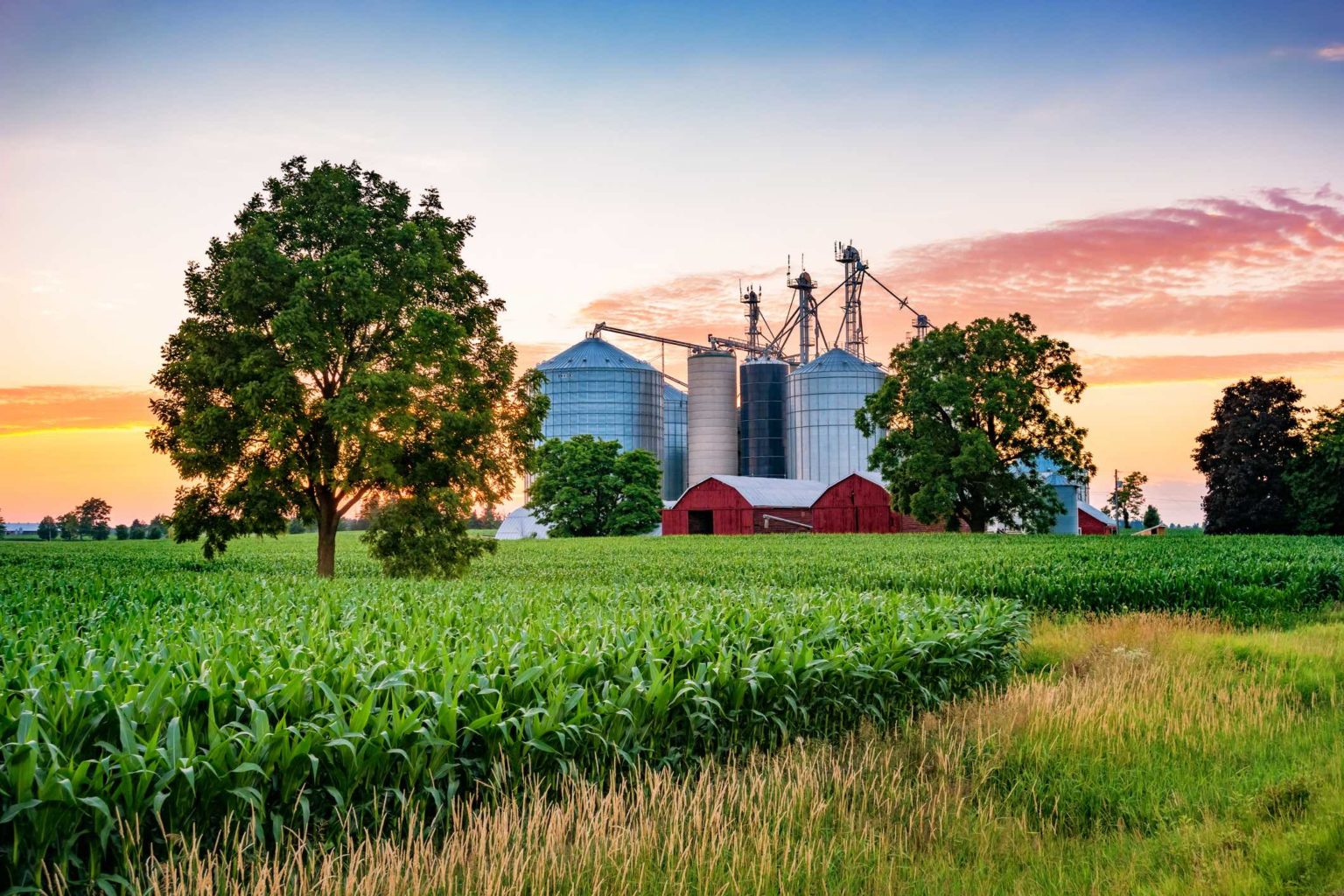 Hamilton Real Estate Agents | Michael St. Jean Realty